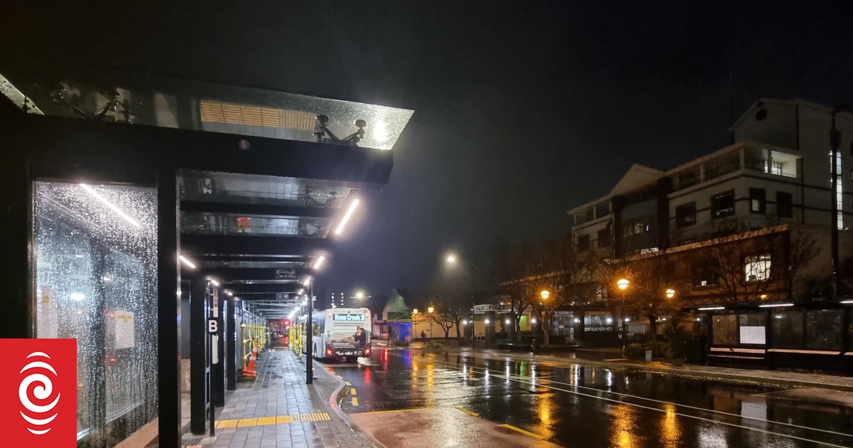 Councils and police form safety group after fatal Dunedin bus hub ...