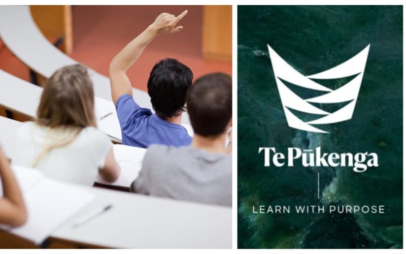 Te Pūkenga halts transformation amid new instructions from government | RNZ