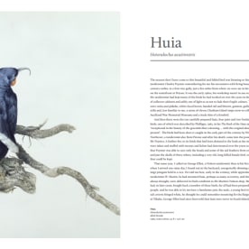 The Birds of Ray Ching | RNZ