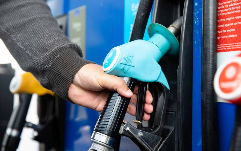 Wise Response Society calls for immediate fuel rationing as war ...