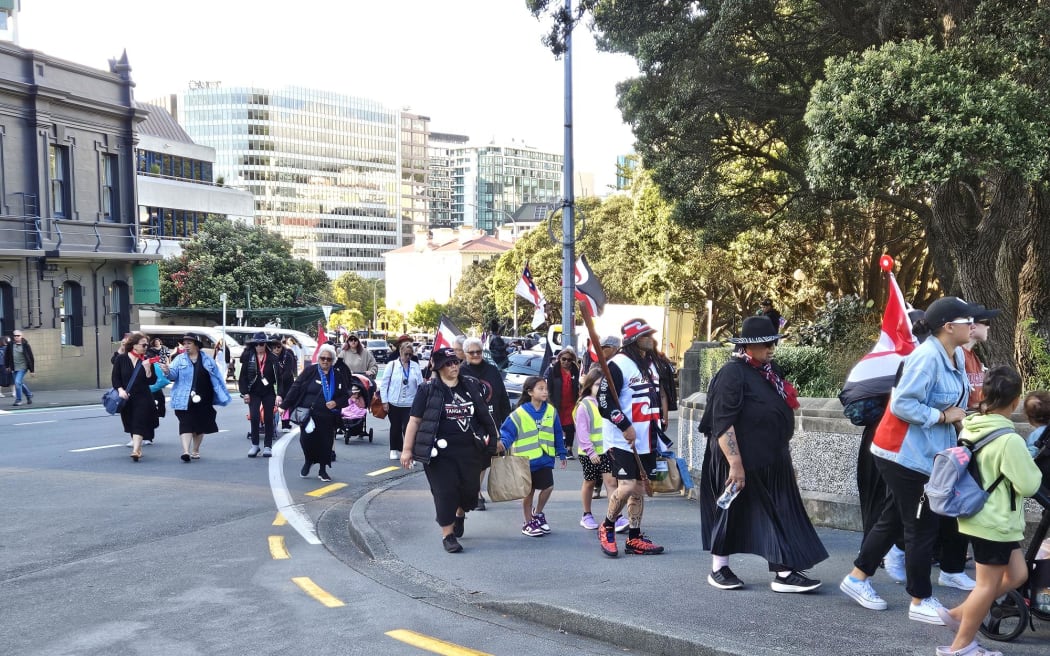 Hīkoi mō Te Tiriti: The final day march to Parliament in photos | RNZ News
