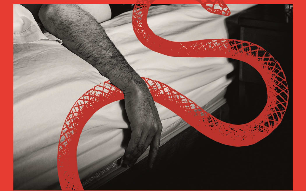 Book review: Bolla by Pajtim Statovci | RNZ