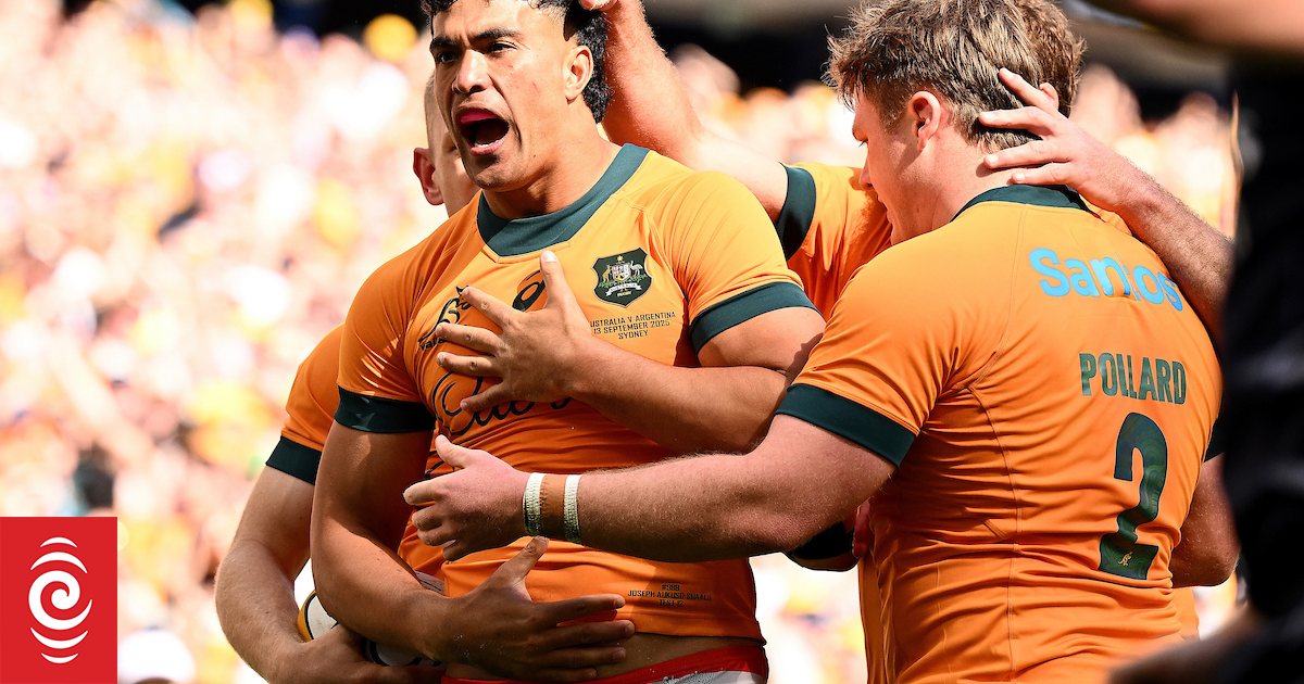 Bledisloe Cup: confident Wallabies riding a resurgent wave of support ...