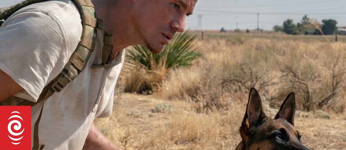 Movie Review - Dog | RNZ