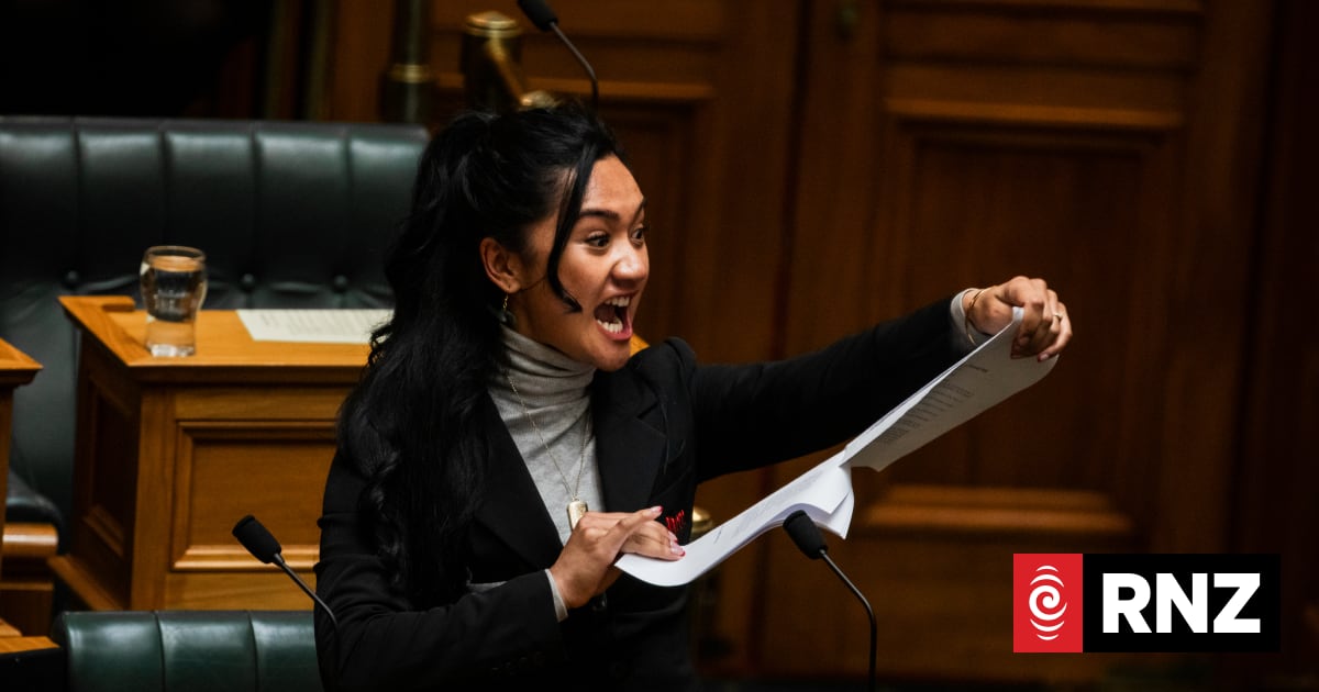 Around 1000 protested proposed exclusion of Te Pāti Māori MPs | RNZ