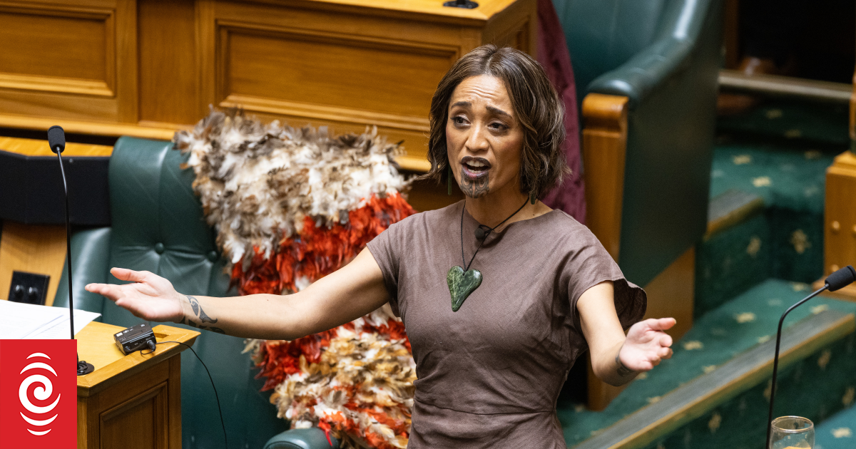 Sometimes Parliament needs plot summaries | RNZ News