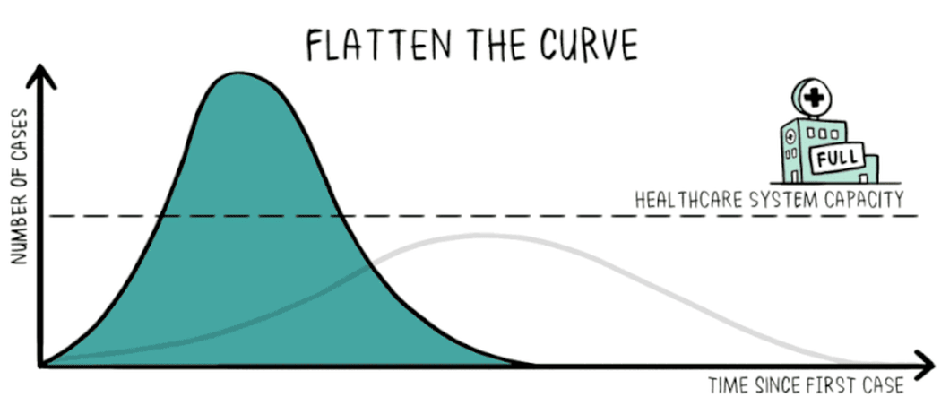 Toby Morris: the cartoonist who is Dad Man Walking | RNZ