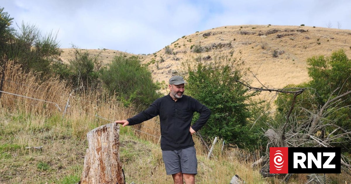 Forestry needs rethink, residents say after Port Hills fire | RNZ