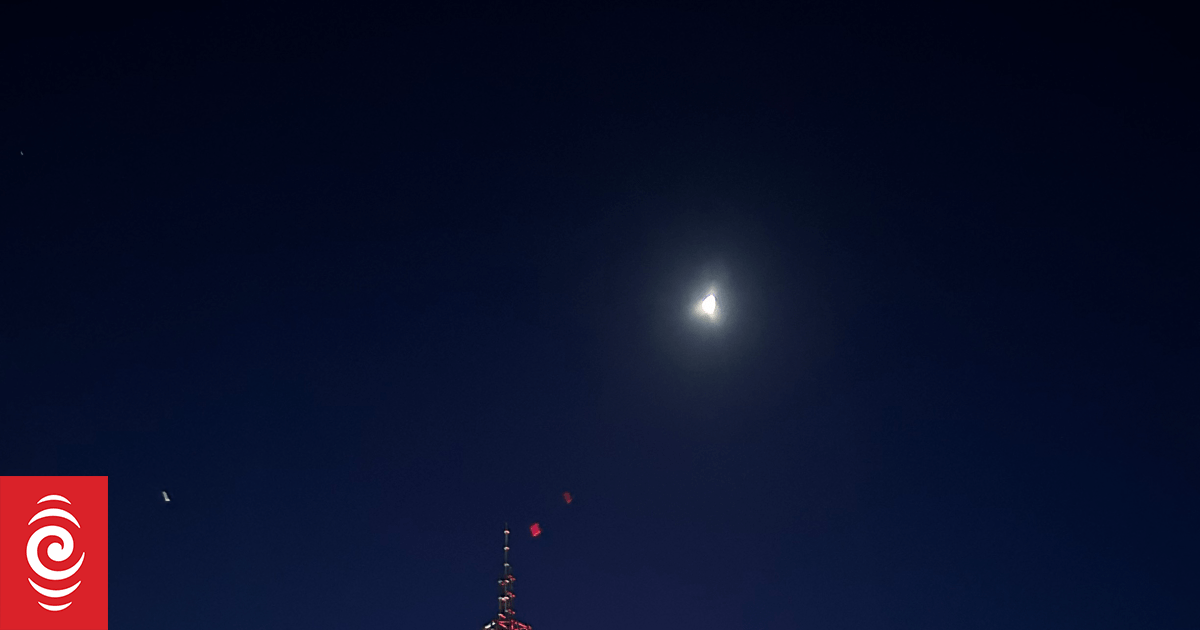 Scaffolding Christmas tree sparks festive spirit in Petone | RNZ News