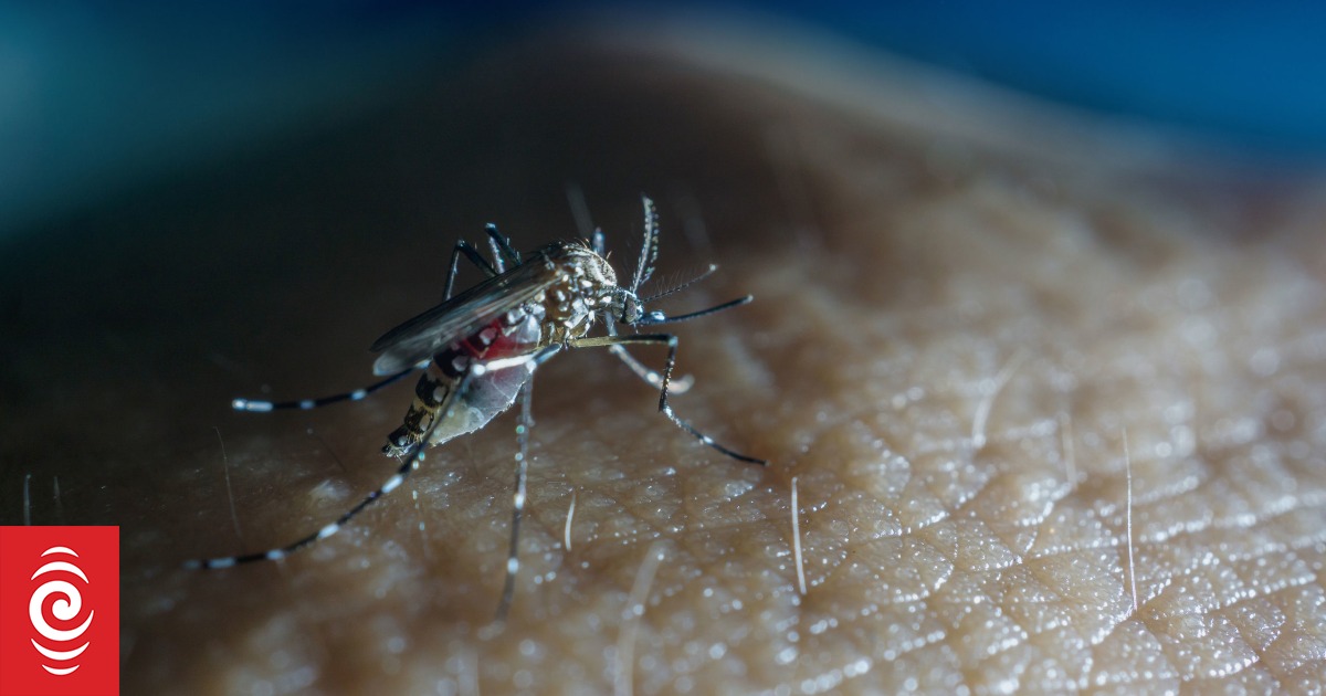 65 new cases of dengue-like illness in latest Samoa report | RNZ News