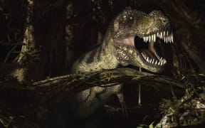 Auckland Museum to display adult male and female T-rex fossils together ...