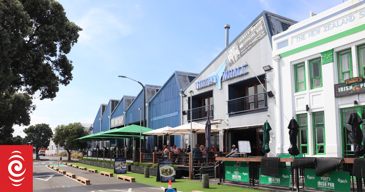 Napier shooting: Two men in custody after pursuit | RNZ News