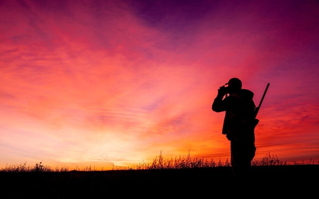 Afternoons for Wednesday 23 October 2024 Afternoons | RNZ