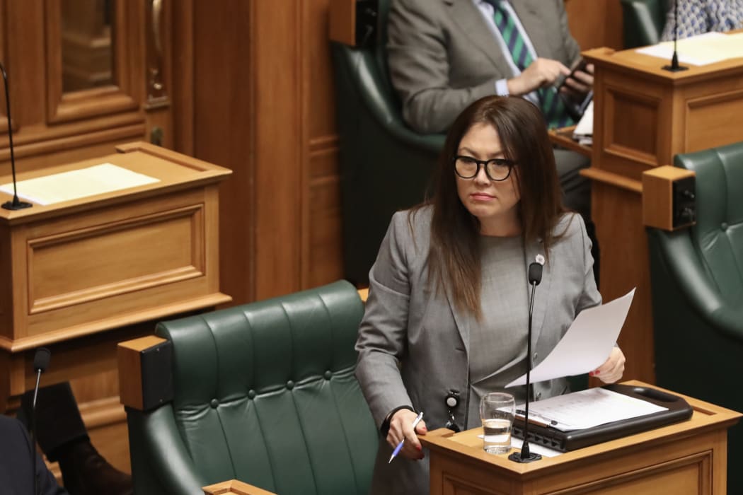 MMP turns 25: more women, Asian, and Maori MPs | RNZ