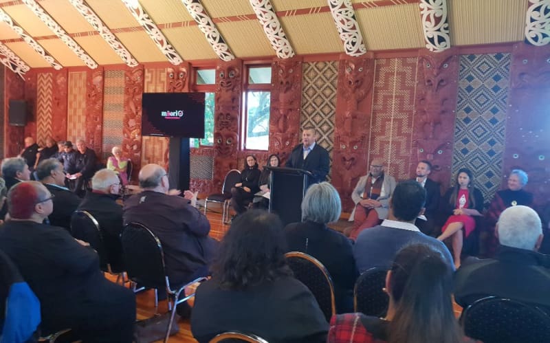 Māori Party wants 25% of government contracts to be led by Māori | RNZ