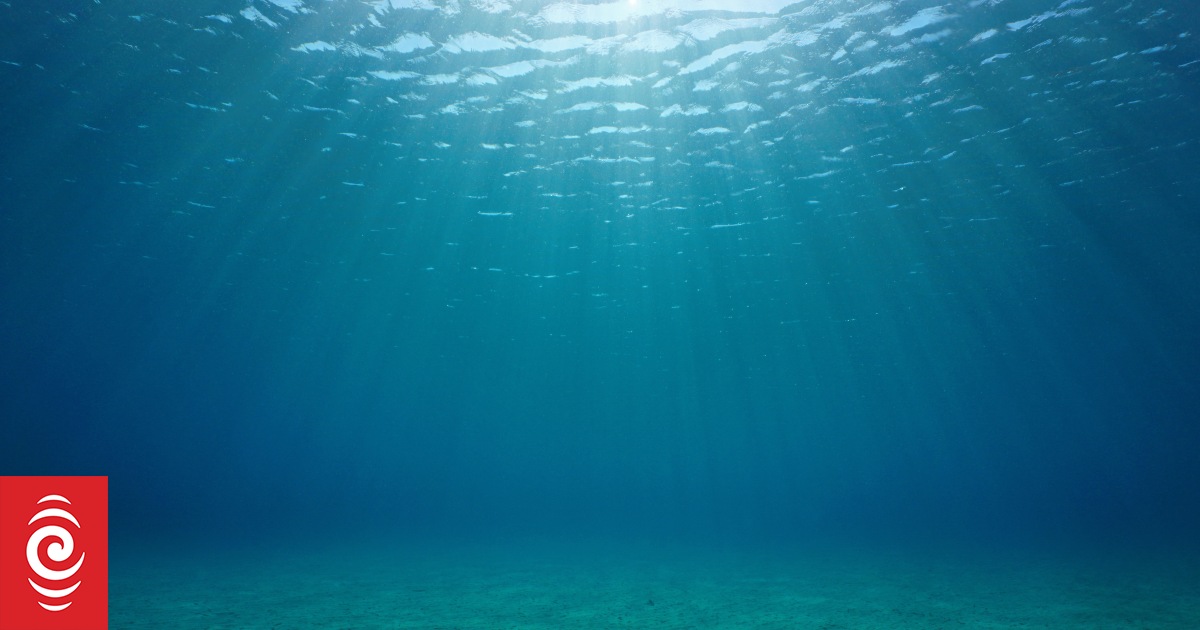 Alison Ballance retrospective 4: ocean acidification | RNZ