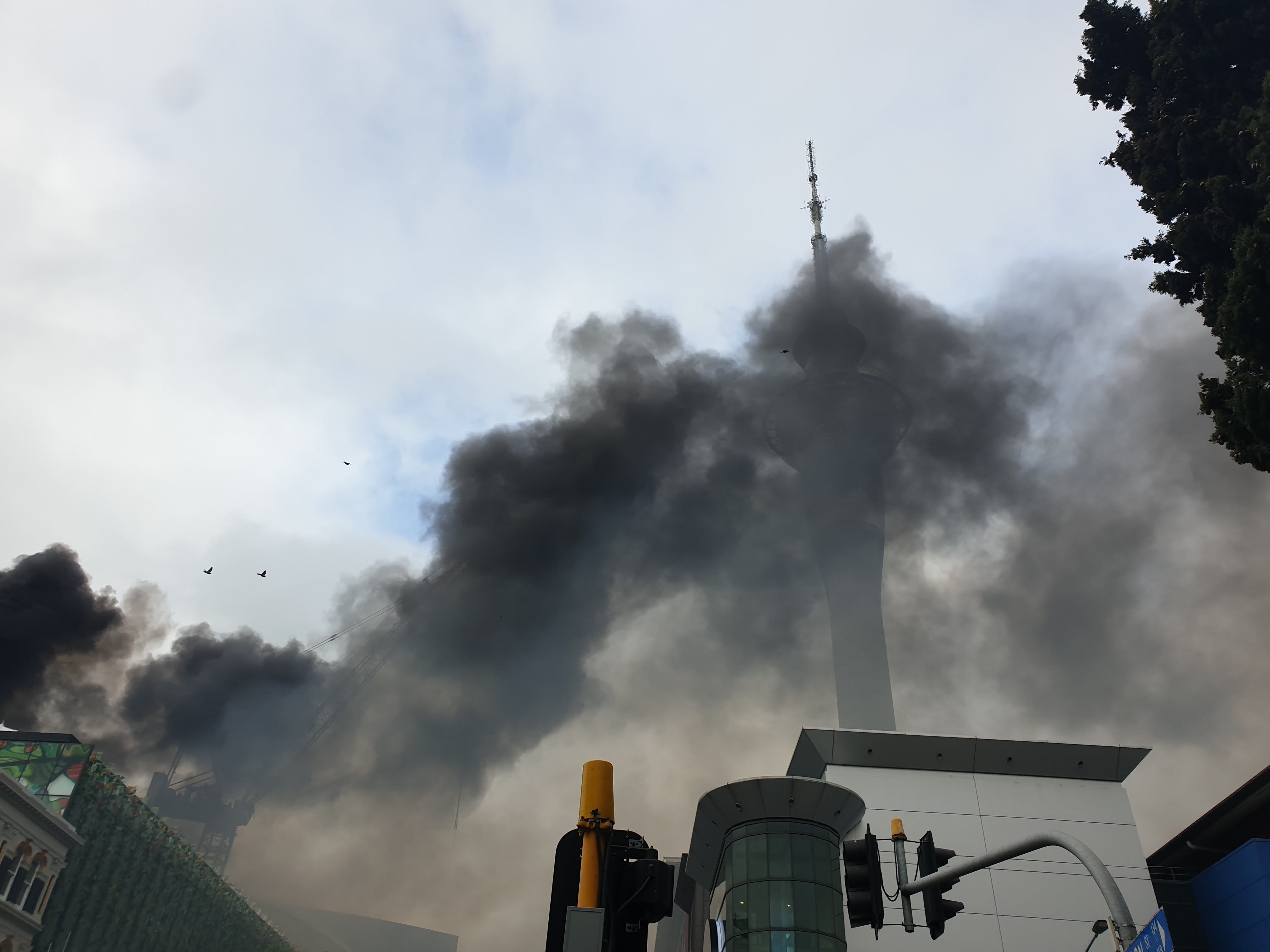 Auckland SkyCity convention centre fire | A Gallery from News | RNZ