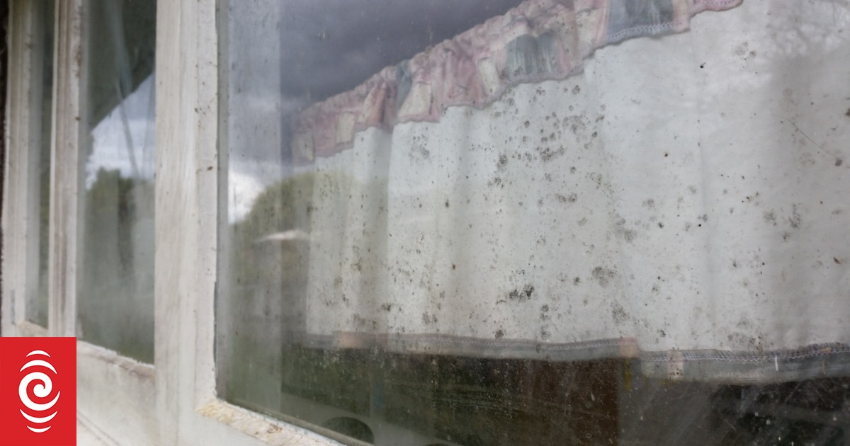 Mouldy homes around New Zealand still an unresolved issue | RNZ