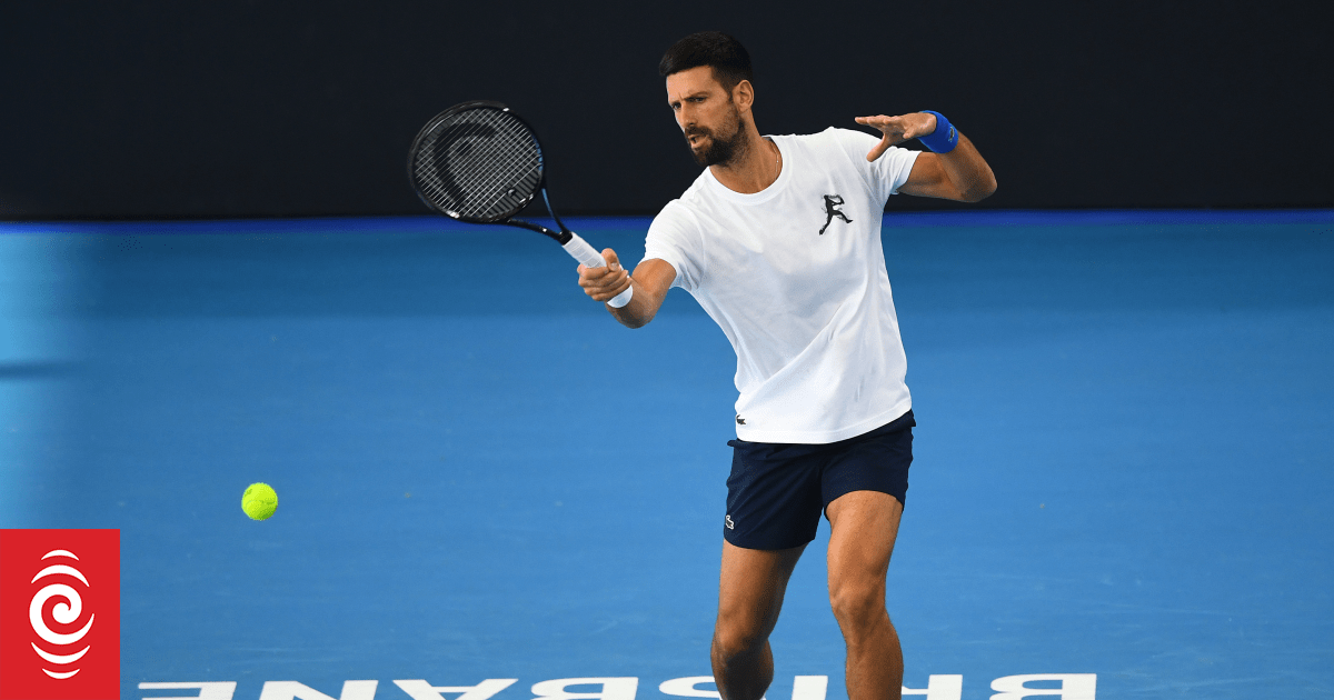 Big names survive on second night of Australian Open | RNZ News