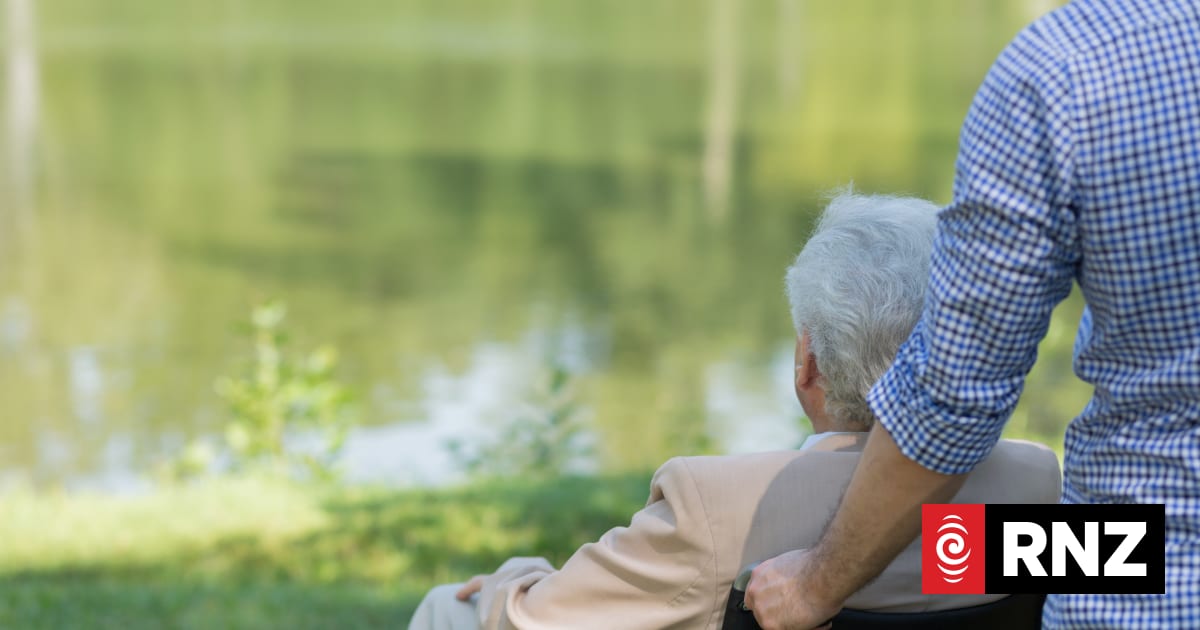 'Requests fallen on deaf ears': Rest homes consider buying Covid-19 ...
