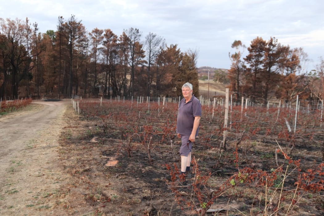 Australian vintner counts cost of Adelaide Hills fire | RNZ