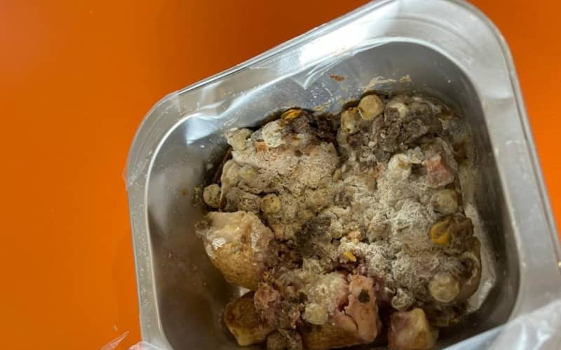 School lunch provider cleared over mouldy meals in Christchurch | RNZ