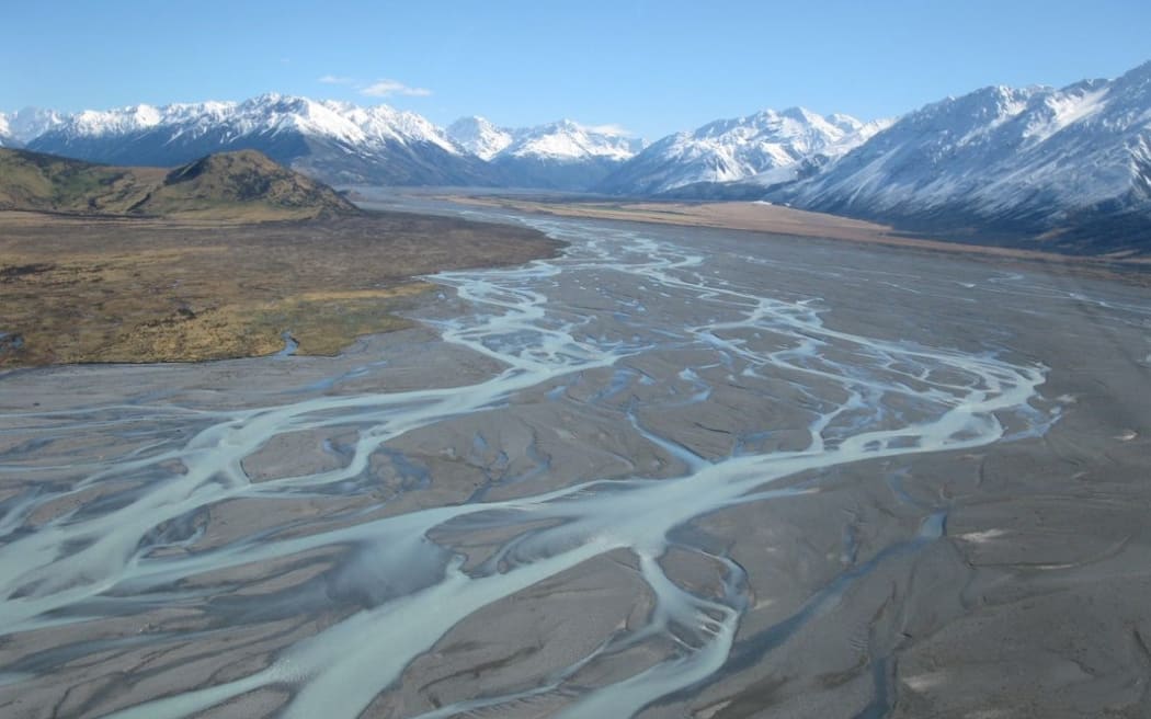Young salmon encouraged to linger for longer in fenced off waterway | RNZ