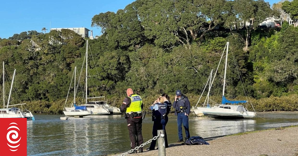 You're undie arrest: Police officer ditches pants to investigate ...