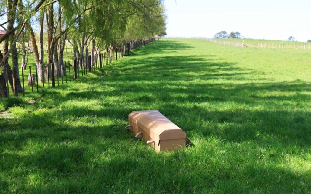 Eco-friendly cardboard caskets on offer | RNZ