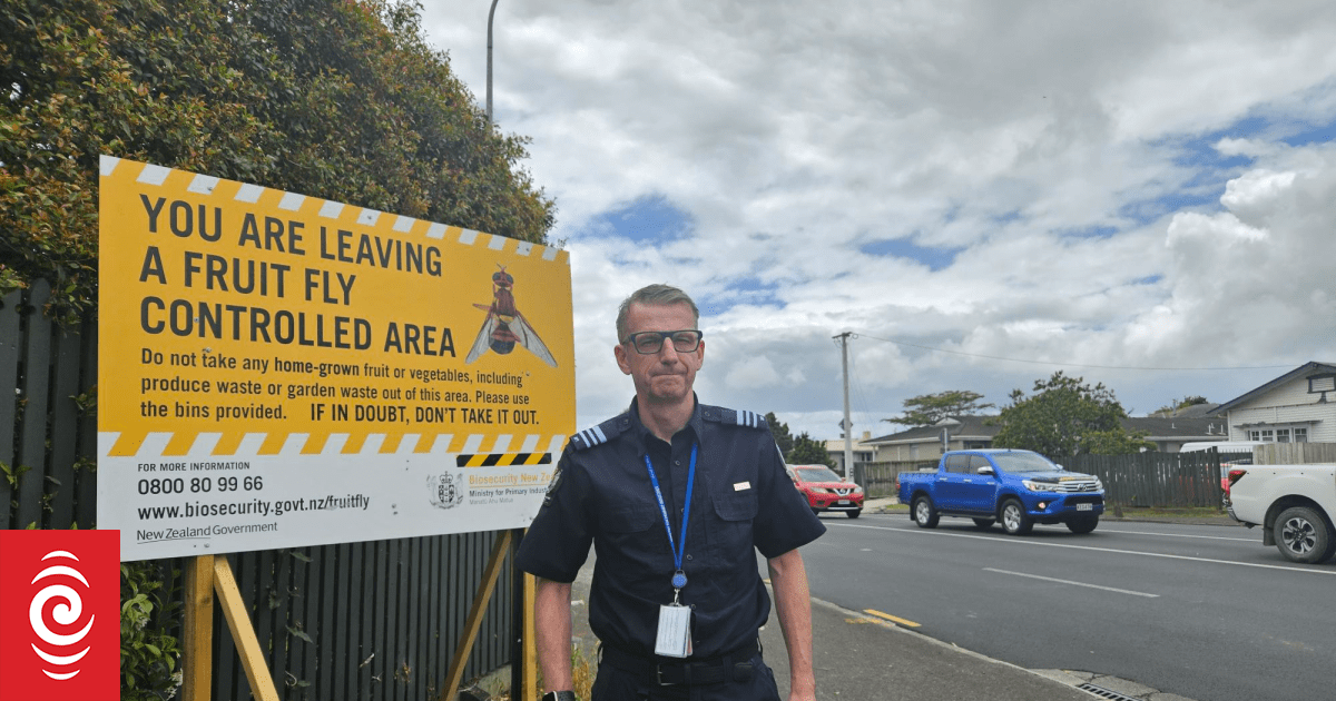 Fruit fly incursion: More than 100 new traps set up around South ...