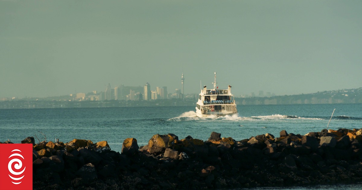 Auckland Gulf Harbour ferry service back to full schedule | RNZ News