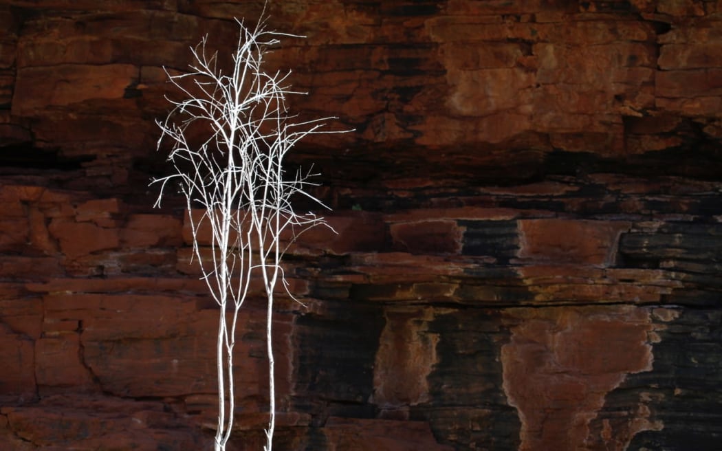Paraburdoo hits highest recorded temperature during extreme heatwave in ...