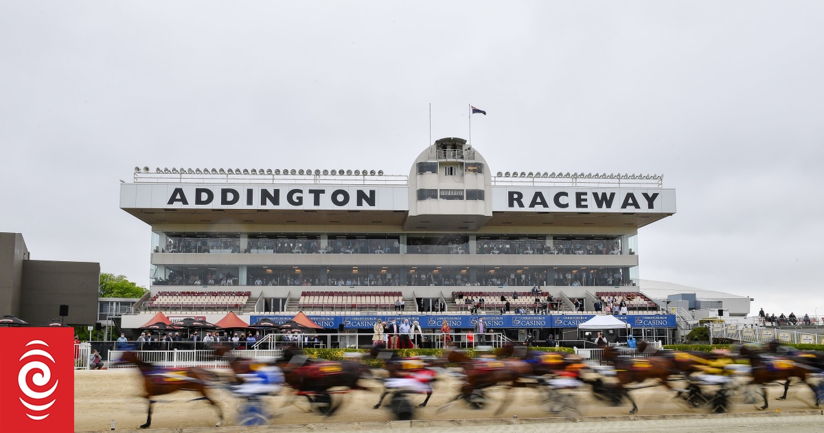Swayzee wins NZ Trotting Cup | RNZ News