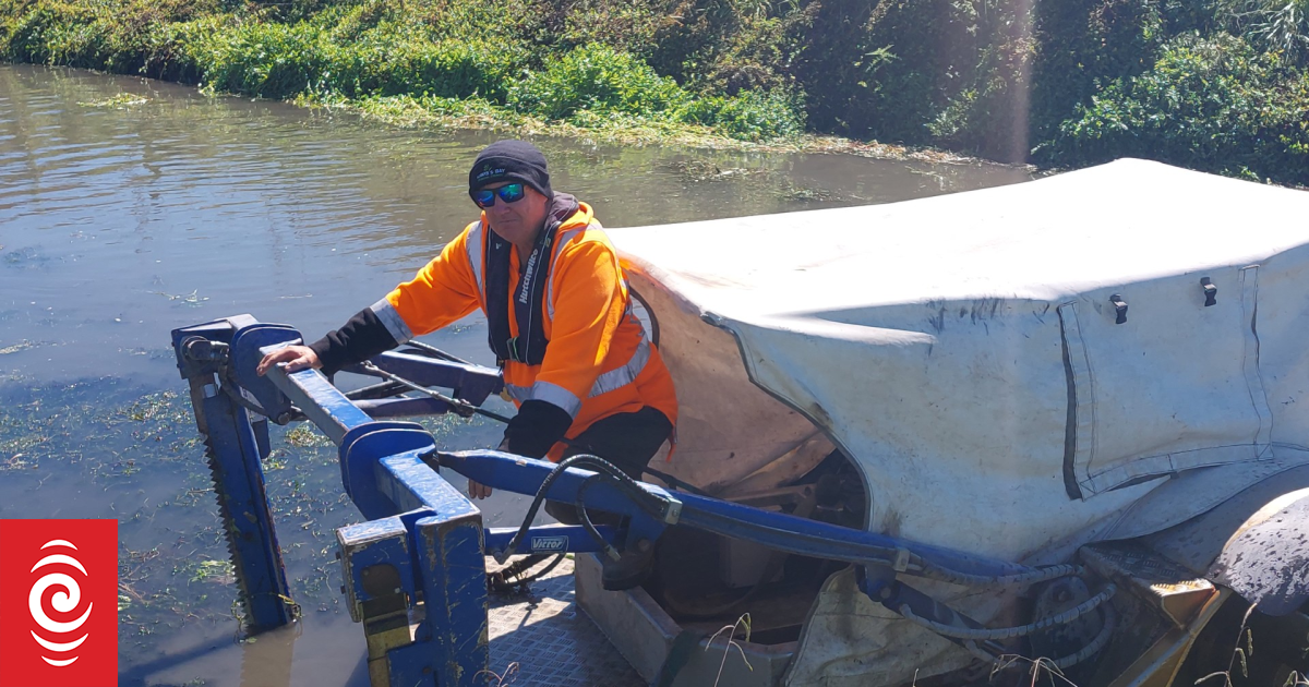Meet the weed boat driver keeping Hawke's Bay streams flowing | RNZ News