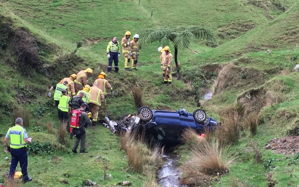 Woman stranded for three nights after crash kept warm by dog | RNZ News