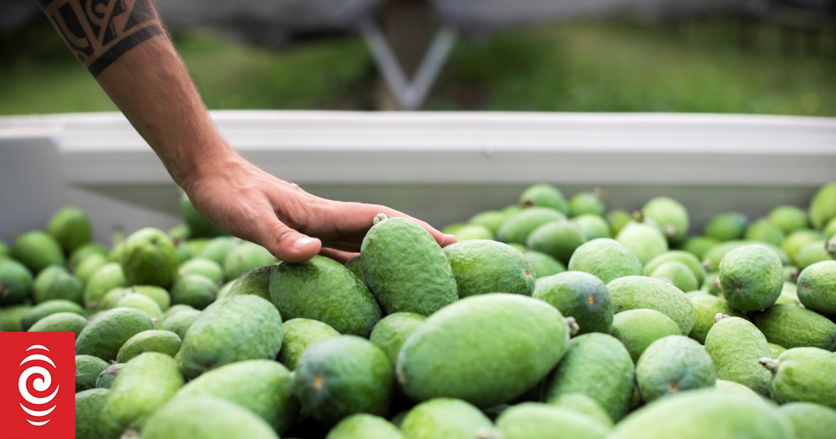 Fruit and Vege Report with Glenn Forsyth | RNZ