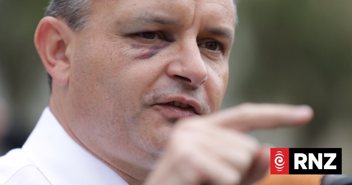 Paul Harris disputes facts over his assault of Greens leader James Shaw ...