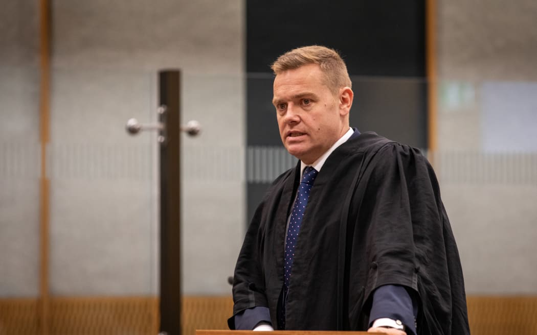 John Hope Muchirahondo: Expert rebuffs defence lawyer's assault claims ...