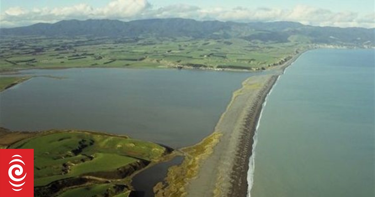 Rangitane tribe to study age of ancient adze | RNZ News