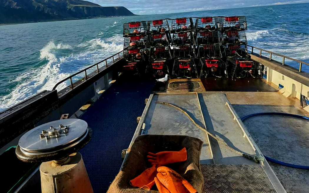 The House: Fishing while walking backwards | RNZ News