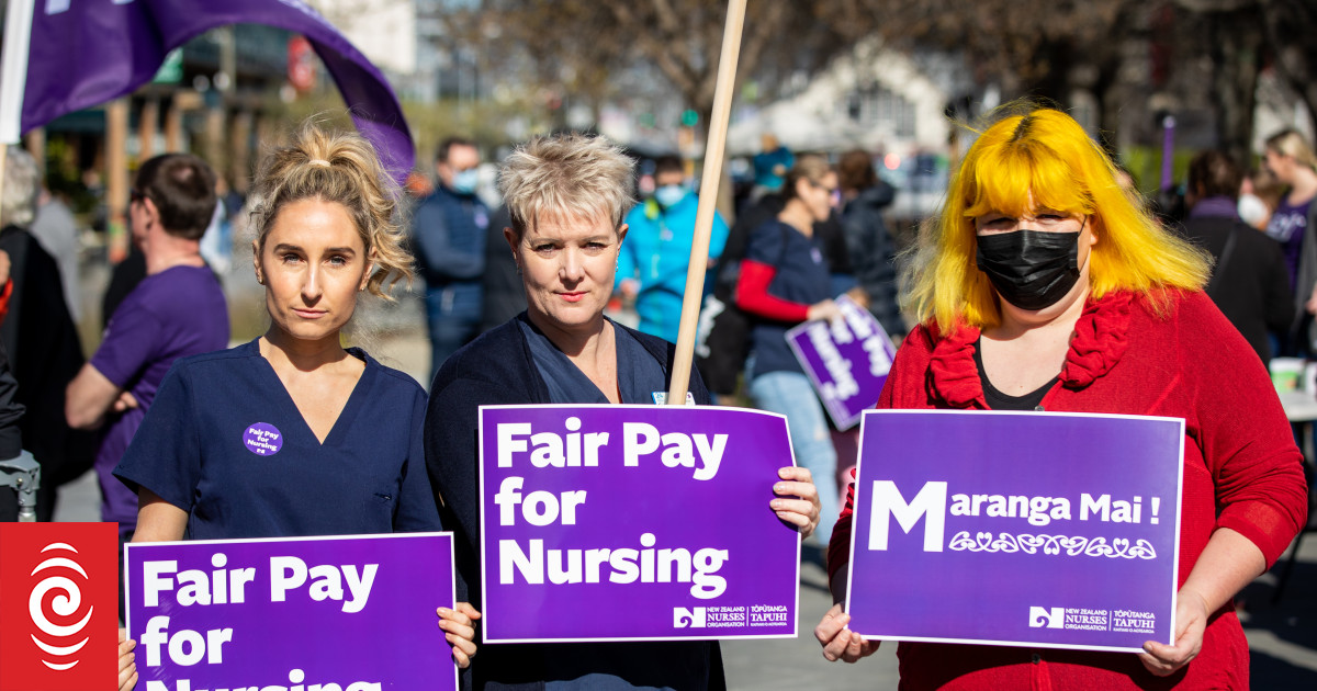 Nurses to take stop work meetings and assess latest Te Whatu Ora offer ...