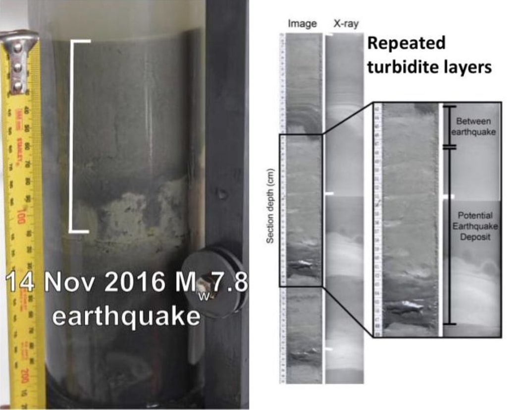 Giant underwater landslide in the Kaikōura Canyon | RNZ