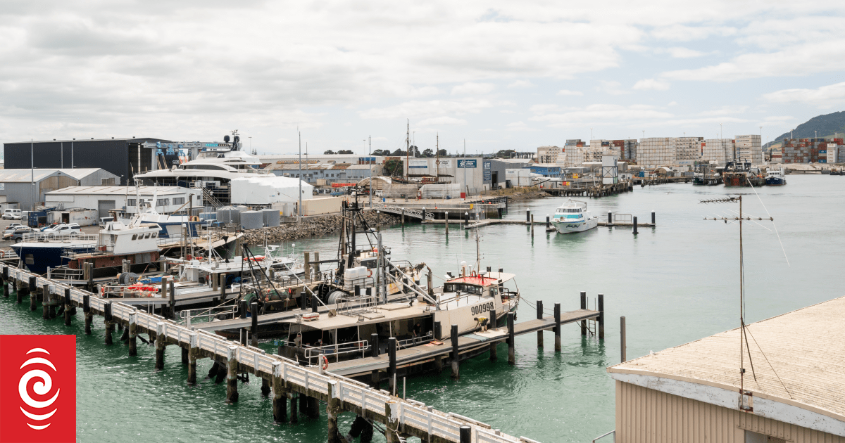 Around the motu: Alisha Evans in Tauranga | RNZ