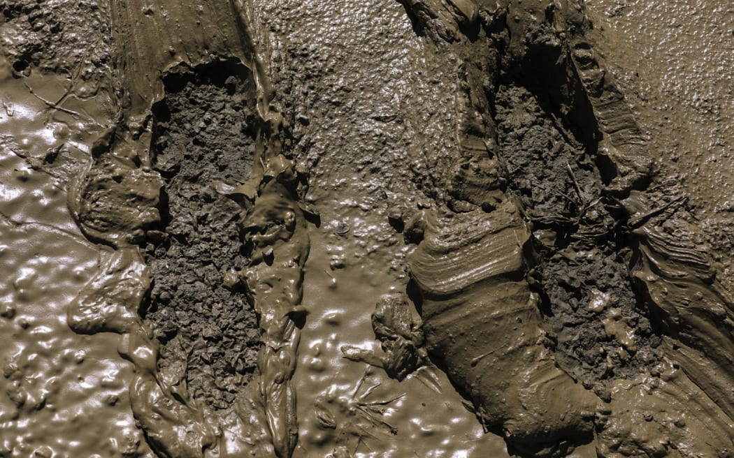 In photos: Cyclone Gabrielle clean up continues | RNZ News