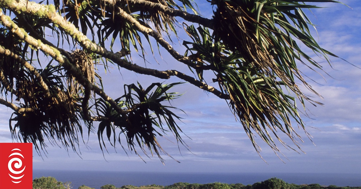 Real Tonga hopes to serve Samoa and Fiji routes. | RNZ News
