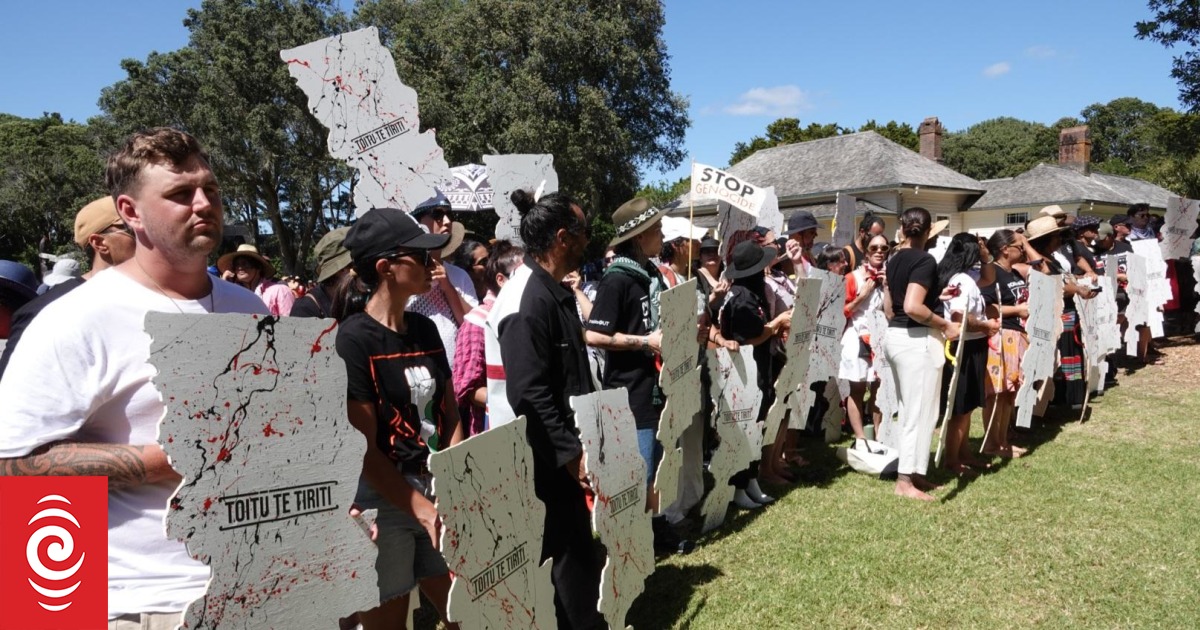 Waitangi 2024: Thousands stand in unity to challenge government on ...