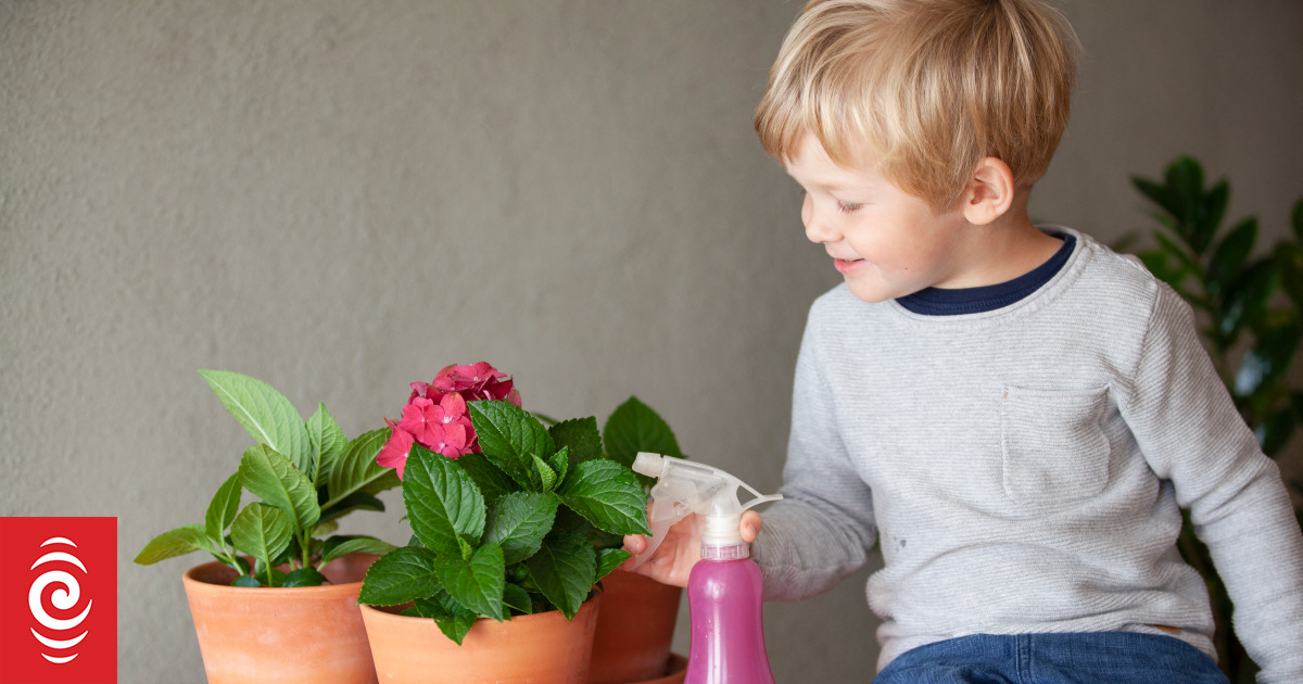 Gary Altman - Plants and happiness | RNZ
