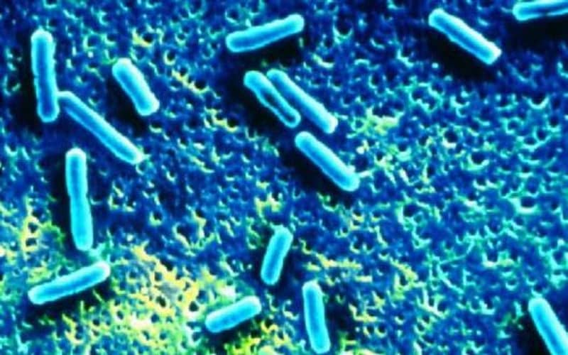 Wellington councils taking precautions at pools after outbreak of ...