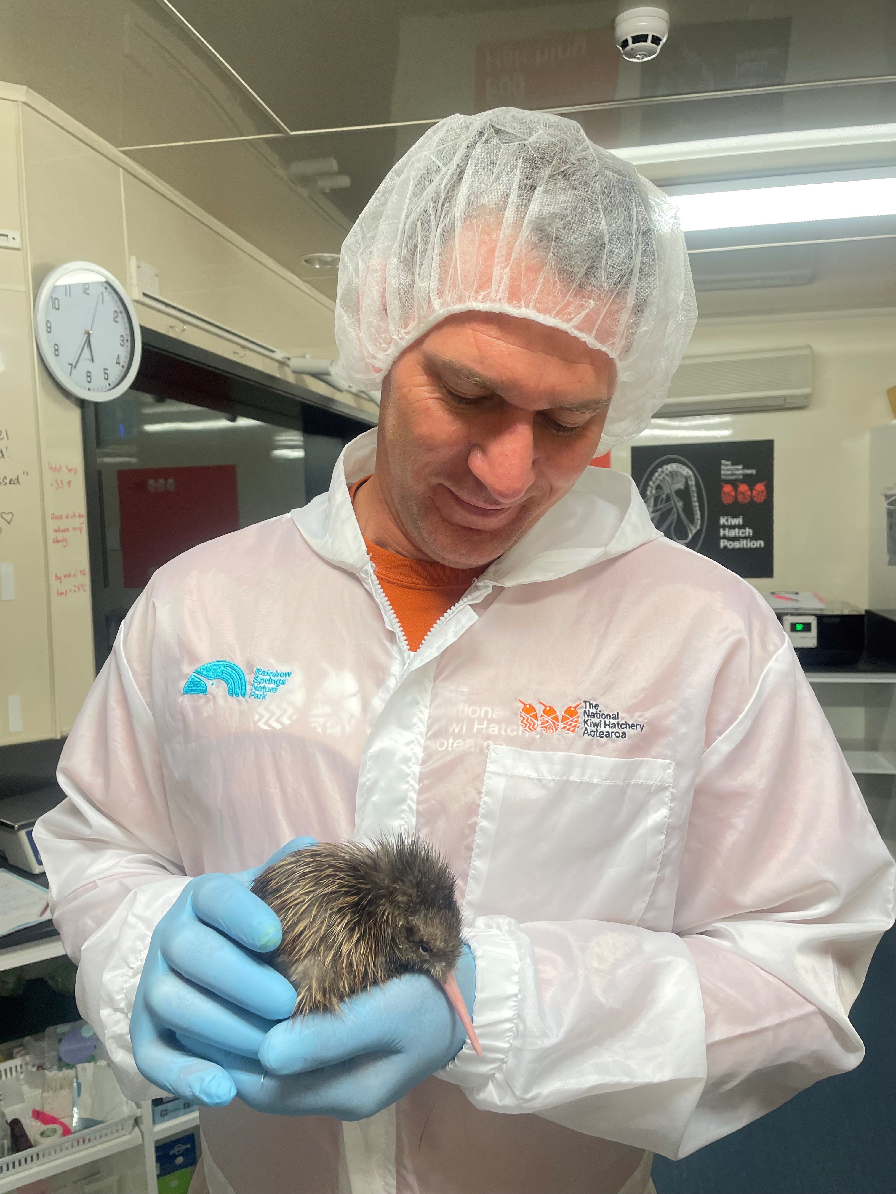 Birds and the bees: Manunui Honey | RNZ