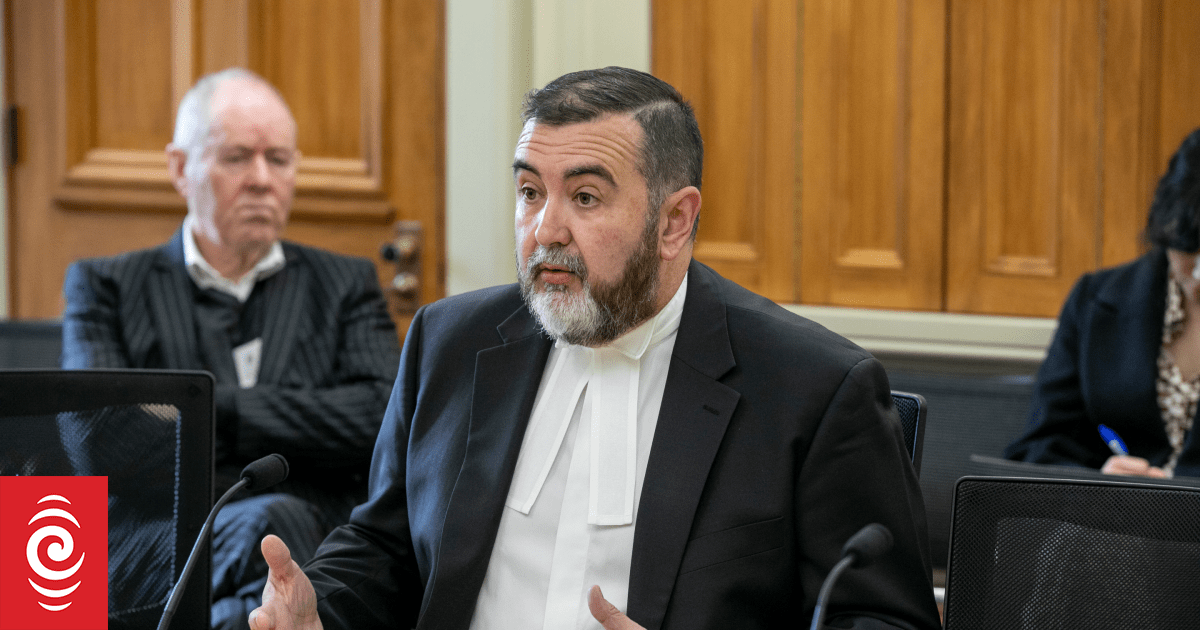 MPs hear submissions on Public Service Bill | RNZ News